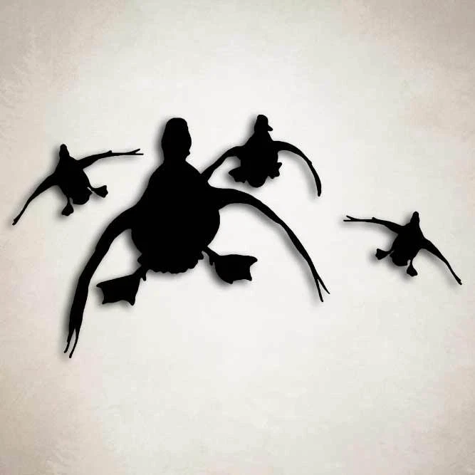 Cupped Duck Silhouette