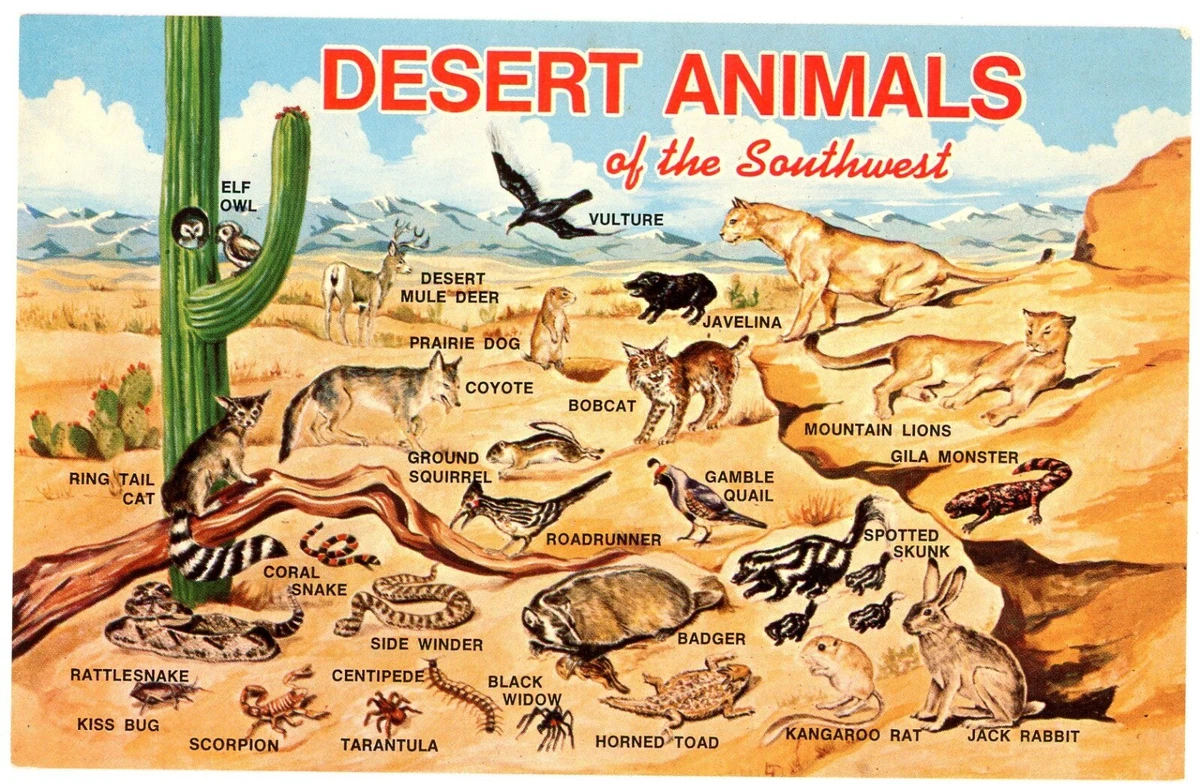 Southwestern Deserts