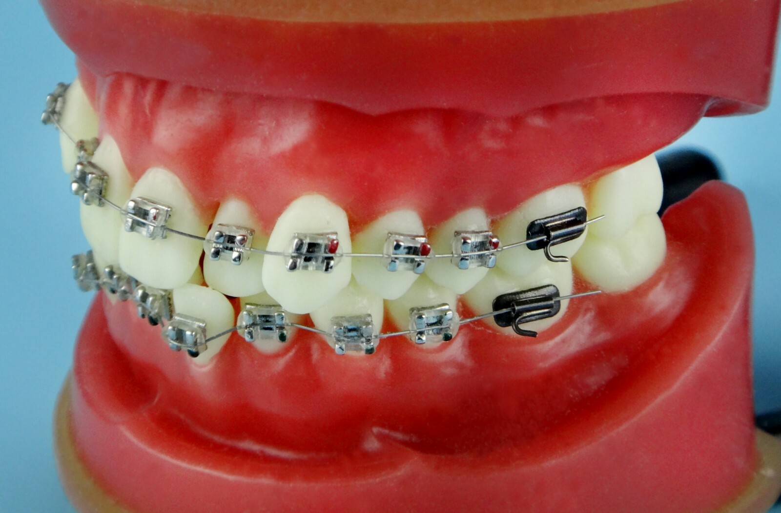 Reusable Dental typodont orthodontics model wax teeth training practice ...