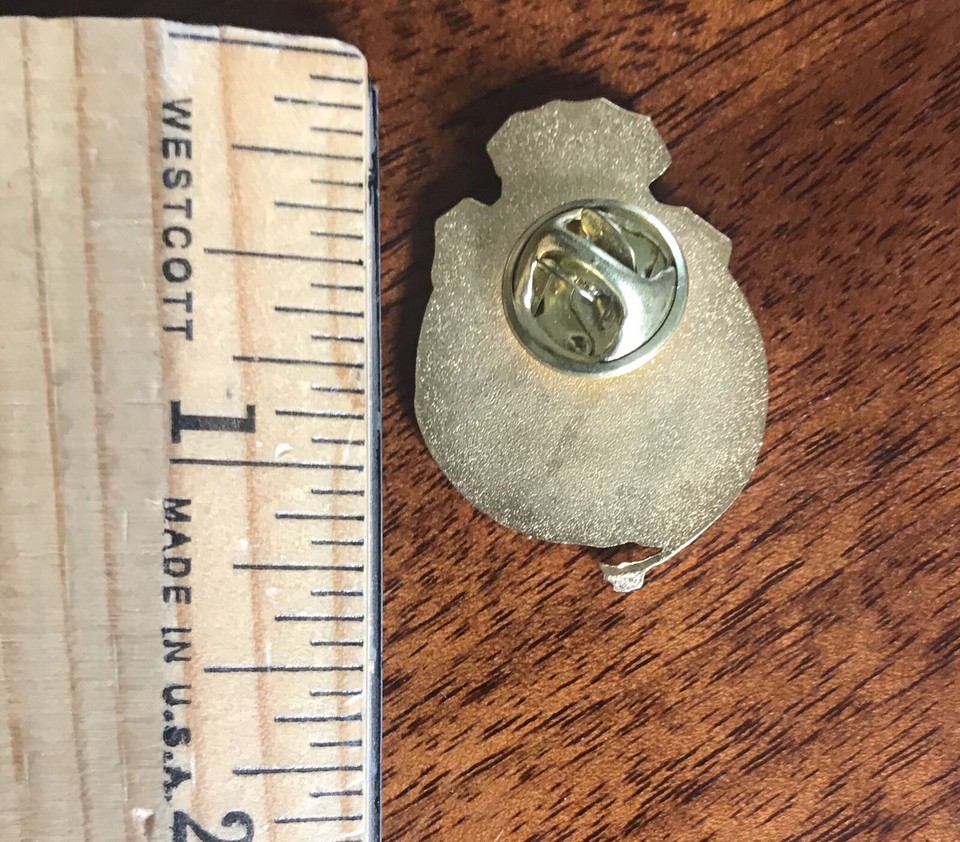 2006 110th Cheyenne Frontier Days Collectible Pin Souvenir Badge Rodeo ...