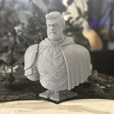 Star Wars - Ahsoka - Baylan Skoll - 3D Printed Resin Bust Kit | eBay