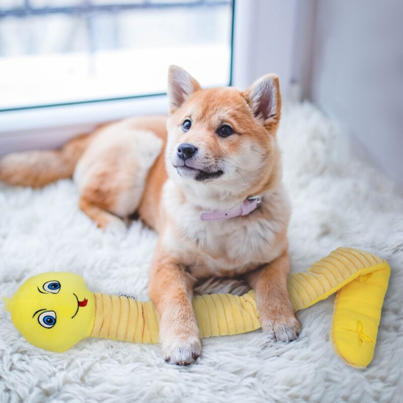 Snuffle Dog Squeak Plush Snake Chew Toy Encouraging Foraging Skills | eBay