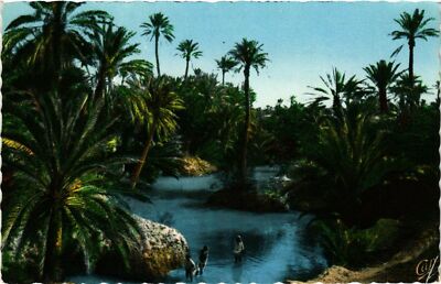 CPM AK ALGERIE-Scenes et Types-Un oued dans l'oasis (328268) | eBay