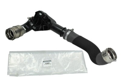 ORIGINAL DURITE TUYAU D'AIR POUR RENAULT MASTER III 2.3 DCI 144605225R ...