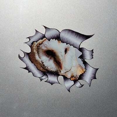 Cute Barn Owl Bird Ripped Open Metal Vinyl Sticker Decal For Car ...
