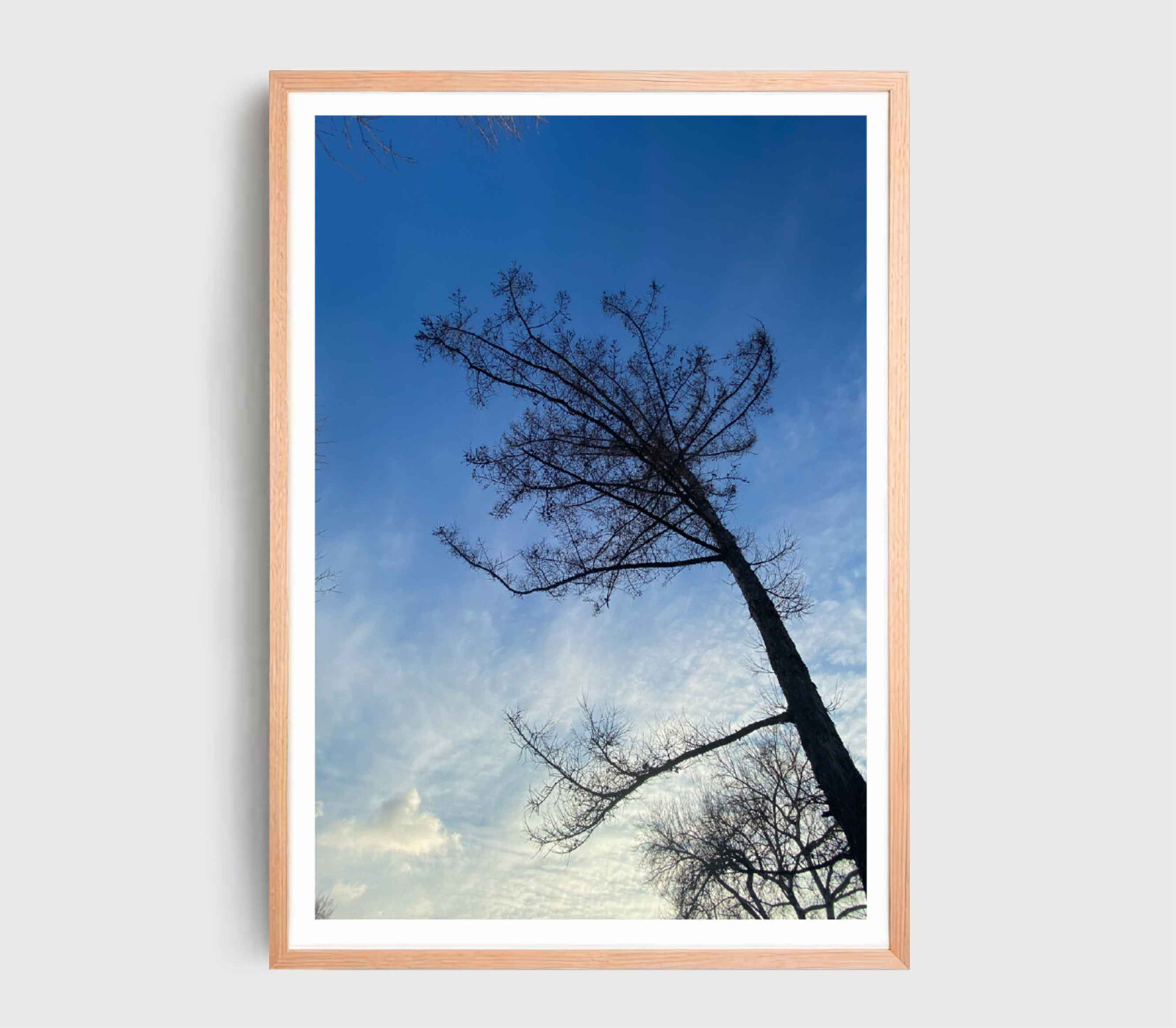 Leafless Tree Print, Blue Sky View Wall Art,Trees Framed Nature Wall ...