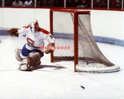 NHL Montreal Canadiens Goalie Richard Sevigny Game Action Color 8 X 10 ...
