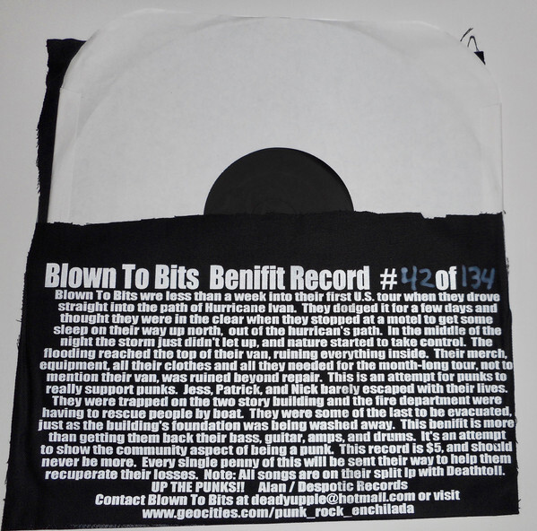 Blown To Bits - Blown To Bits Benefit Record 2005 LP, S/Sided, Ltd Despotic Reco | eBay