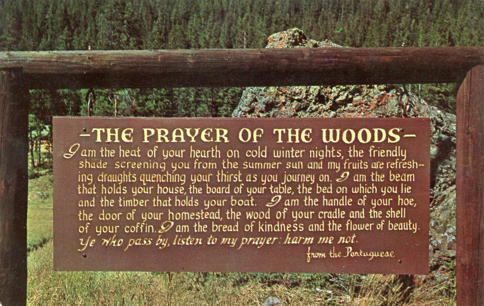 Prayer of the Woods, Yellowstone Park, Silver Gate, Montana --POSTCARD ...