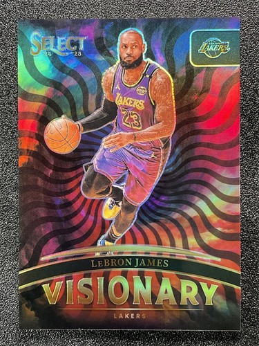 2024-25 Panini Select LeBron James #11 Visionary Case Hit SSP | eBay