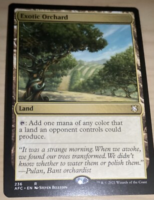 Exotic Orchard Mtg | eBay