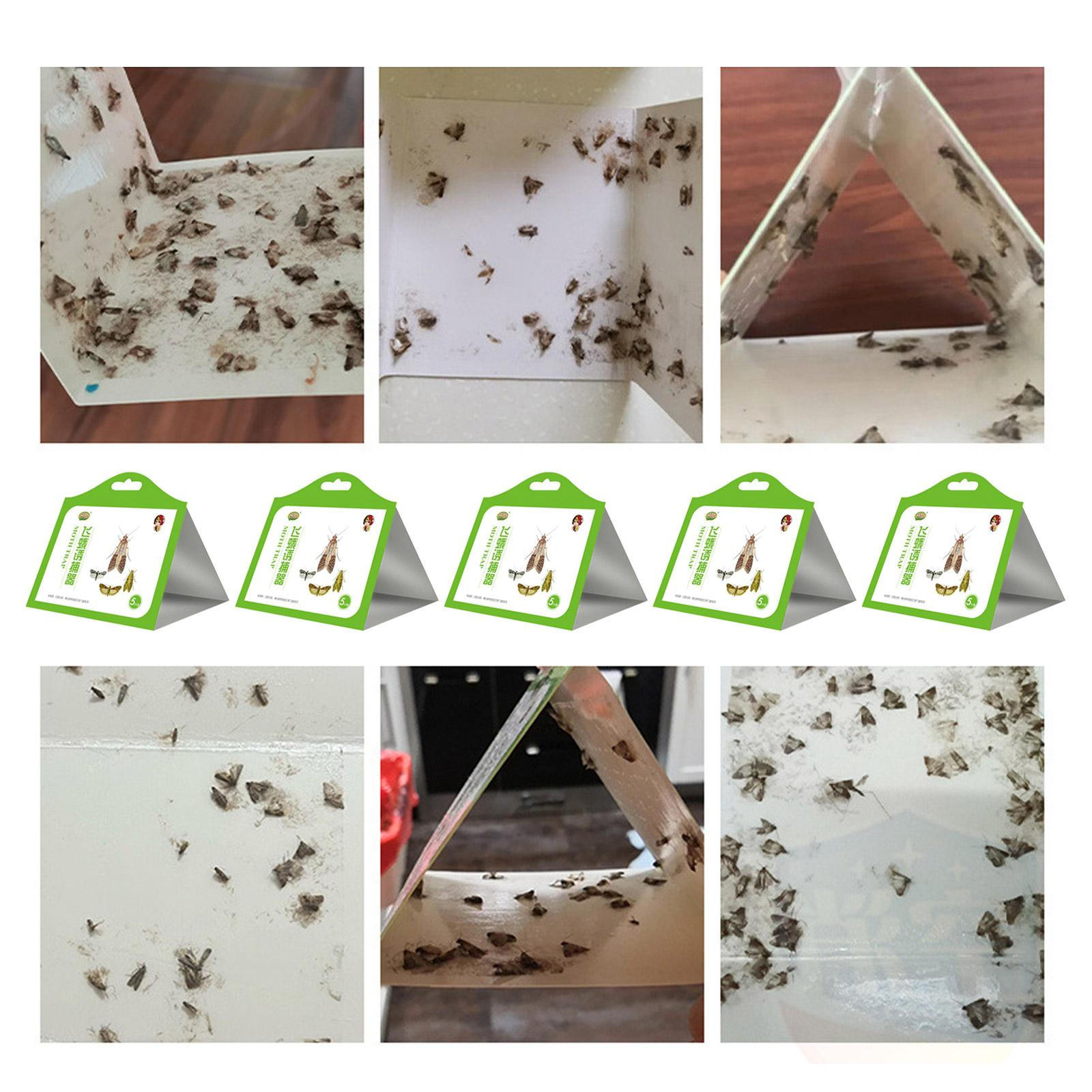 Clothes Traps (5 Count, Green) - Sticky Glue Bug Repellent Pheromone A ...