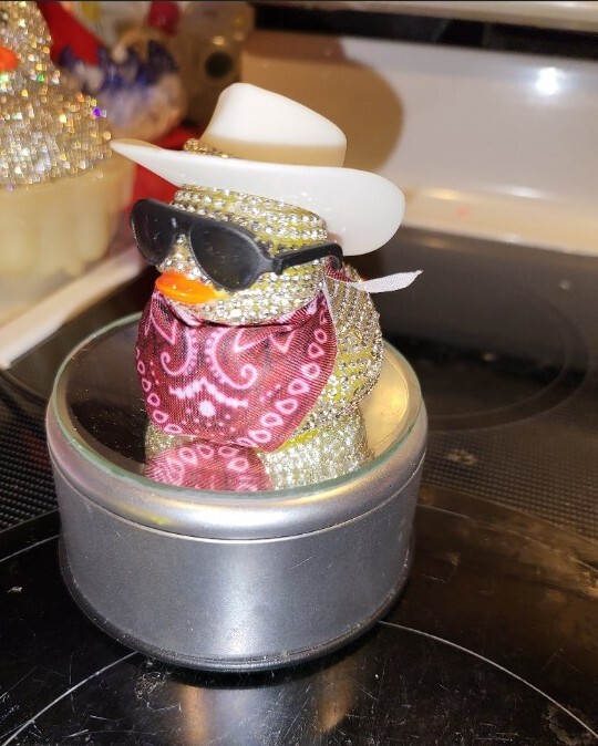 New custom cowgirl bling bling ducks | eBay