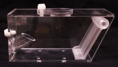 Bubble Magus Pest Trap Universal Parasites for Coral Reef Aquariums ...