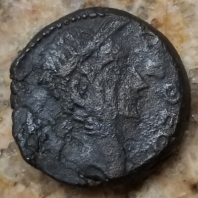 Julius Caesar Portrait Authentic Genuine Ancient Bronze Roman Coin with ...