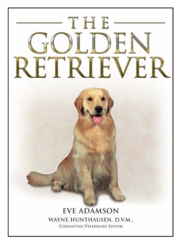 Golden Retriever By Eve Adamson & Wayne Hunthausen DVM | eBay