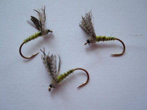 1 DZ D16-7 CDC BIOT COMPARADUN BLUE WING OLIVE'S (SIZES AVAILABLE), DRY ...