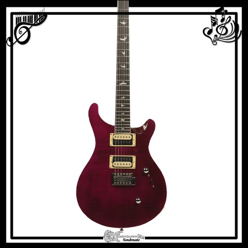 Custom Electric Guitar Paul Reed Smith Bird Inlay Amethyst Purple free ...