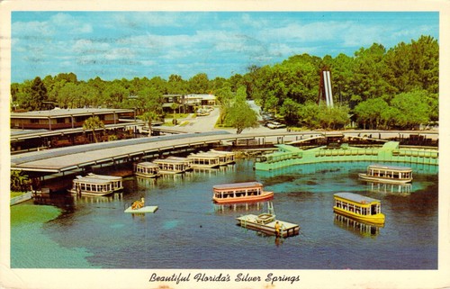 Florida's Silver Springs-Aerial View-'Nature's Underwater Fairyland ...