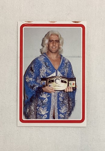 RIC FLAIR 1984 PRO WRESTLING JAPAN MAGAZINE STICKER | eBay