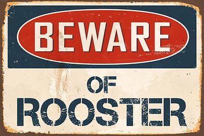 Beware Of Rooster 8" x 12" Vintage Aluminum Retro Metal Sign VS475 | eBay