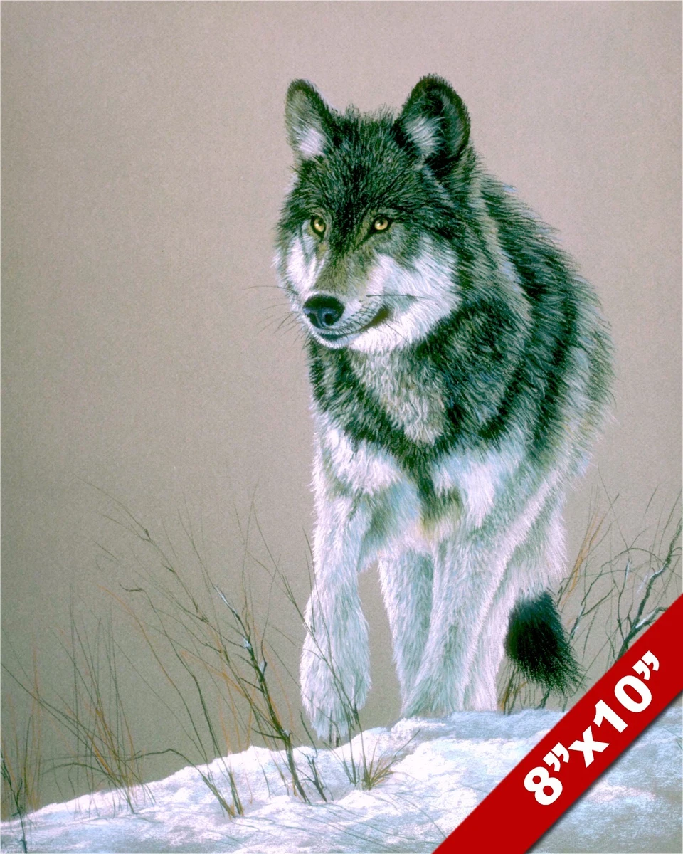Grey Wolf Painting