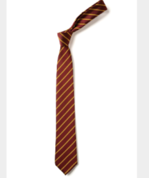 WATERLOO ROAD SCHOOL BLAZER COSTUME FANCY DRESS EMBROIDERED LOGO MAROON ...