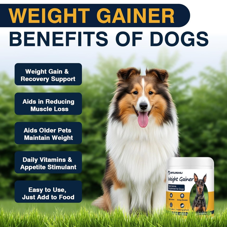 High Calorie Weight Gainer for Dogs, 20 OZ Dog Appetite Stimulant & Dog ...