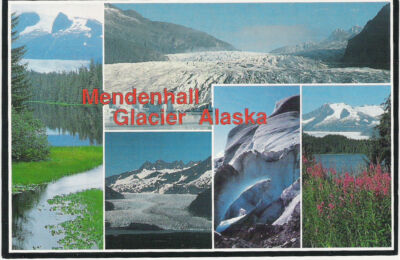 *Multi-View, Mendenhall Glacier, Alaska*L | eBay