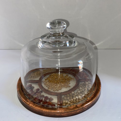 Gamut Designs Covered Cheese Dish Dome Resin Lucite Corn Wheat Seeds ...