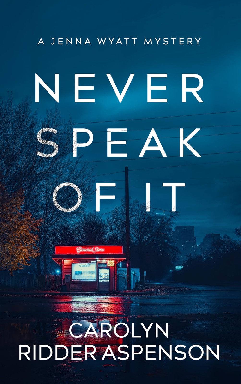 Never Speak of It by Carolyn Ridder Aspenson (2025, Trade Paperback ...