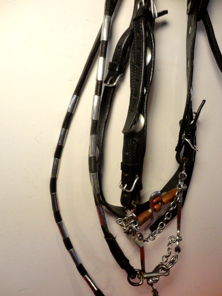 Vintage Black Leather Western Bridle Reins Bits and Breast Plate with ...