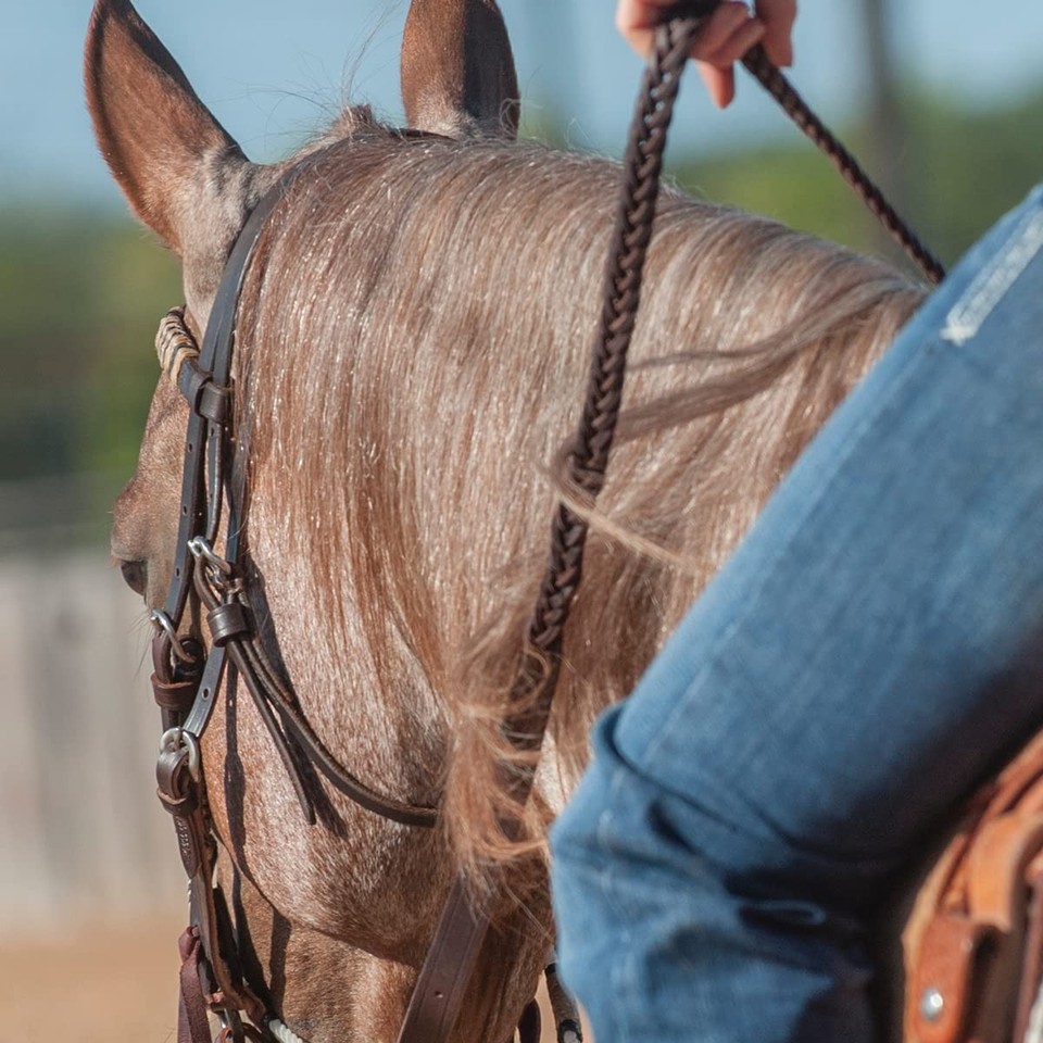 Martin Latigo 5-Plait Roping Rein | eBay