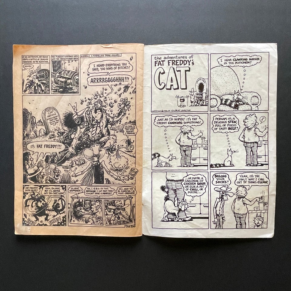 1980 The Fabulous Furry Freak Brothers #6 Comic Book • Rip Off Press | eBay