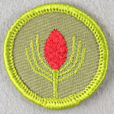 FORESTRY 1961-1968 Type F Rolled Edge Khaki Twill Merit Badge | eBay