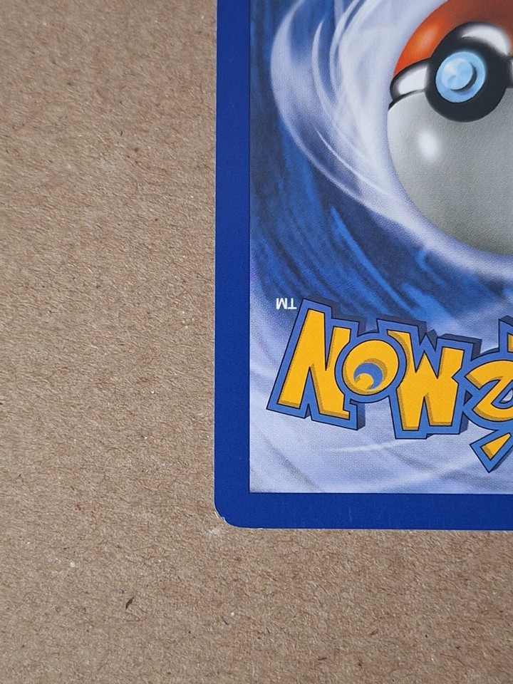 Pokémon TCG Torterra LV.X Black Star Promo DP09 DMG | eBay