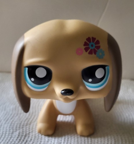 LPS, Littlest Pet Shop, 5" Dachshund Figure. Hasbro 2008, C031-G | eBay