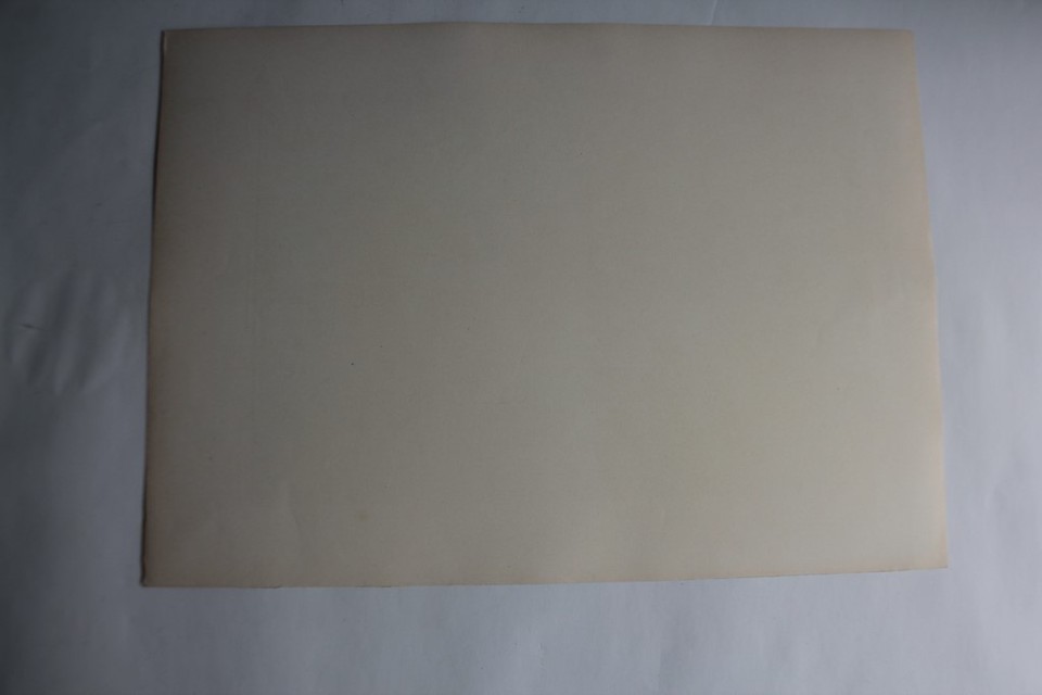 Decorative landscape print, newspaper decoration, Jul. Menzel 1900 ...