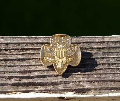 Girl Scout GS Eagle Gold Tone Metal Brooch Lapel Pin Pinback | eBay