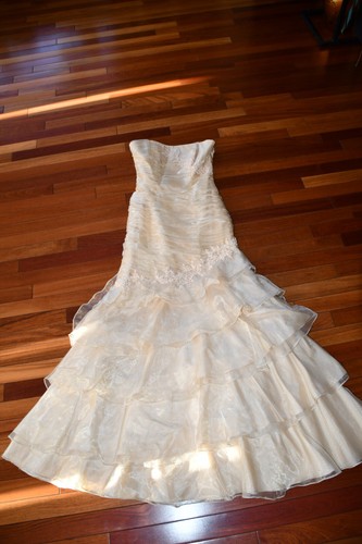 Pinky & Me Tiered Ruffles Long Formal Prom Beige Organza Dress Sz 6 | eBay