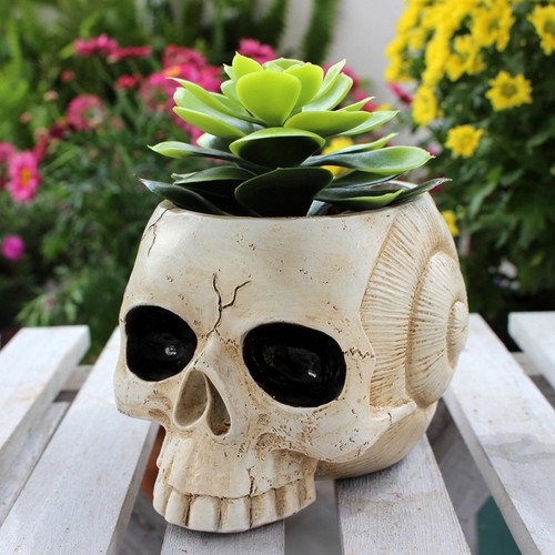Skull Planter Pot Skeleton Head Flowerpot for Living Room Bedroom ...