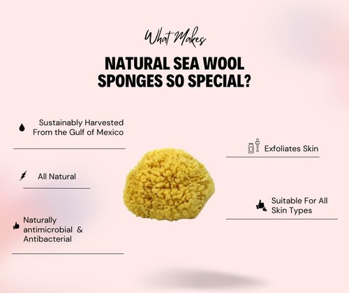 Sea Wool Sponge 4-5" (Small) by ® Natural Authentic Renewable Resource for Wo... | eBay