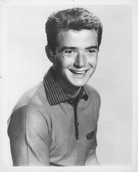 Tim Considine Movies