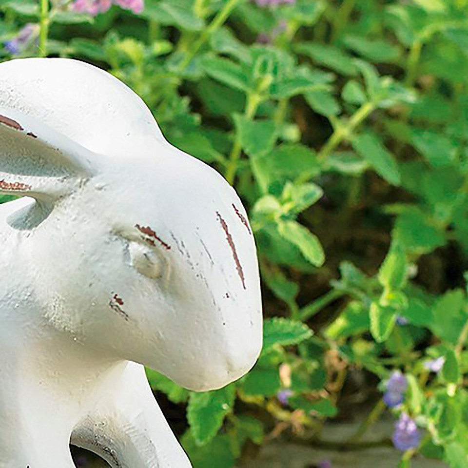 Rabbit Bunny Hare Garden Ornament Lawn Patio Garden Sculpture Statue ...