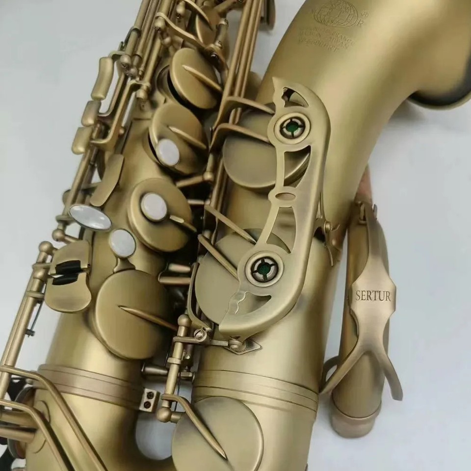 Professional Tenor Saxophone SP-6600 Blue Antique Bronze Saxophone | eBay