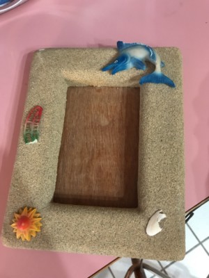 SAND DOLLAR RESIN PHOTO FRAME Picture Sanddollar Shell Ships N 24h | eBay