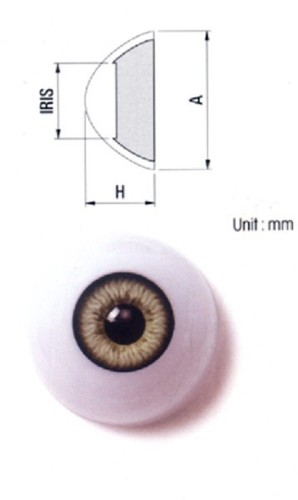 ACRYLIC LIFE LIKE DOLL EYES ~ 16mm HALF ROUND | eBay