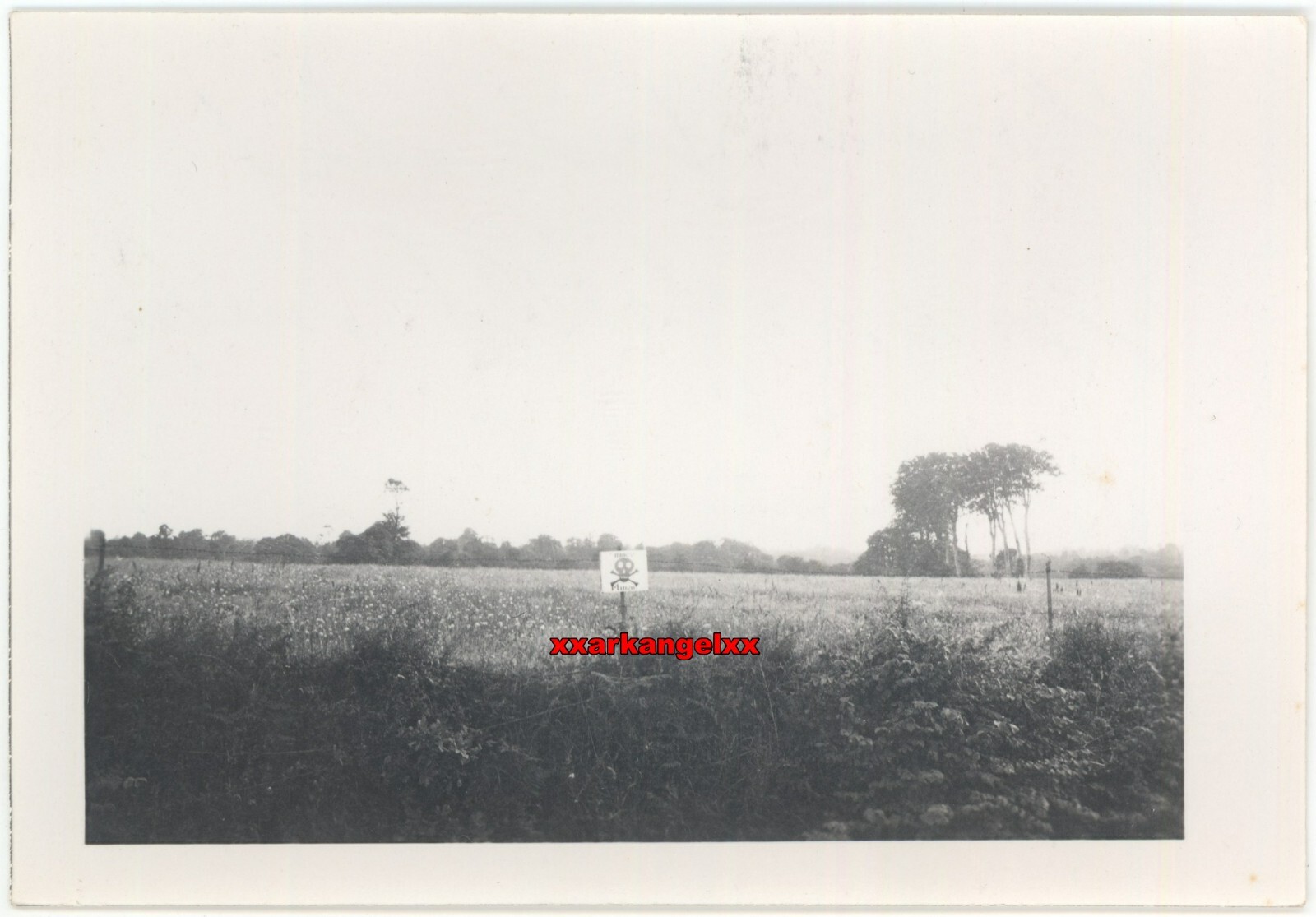 №utas1 original WW2. U.S. Army photo / WW2. minefield warning in ...