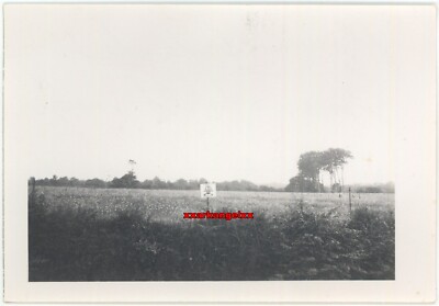 №utas1 original WW2. U.S. Army photo / WW2. minefield warning in ...