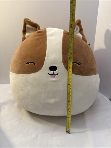 Squishmallow Regina the Corgi Plush 14 in Rare With Eyes Closed | eBay